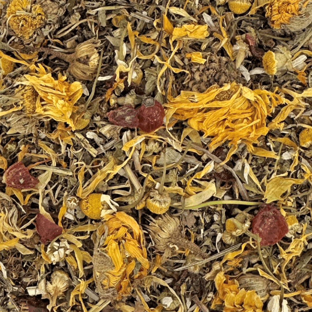 Peppermint for Horses | Equine Digestive Supplement – Horse Herbs