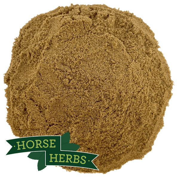 The Herbal Horse Blog – Horse Herbs