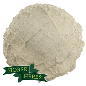 Herbal Supplements for Horses | Natural Equine Supplements – Horse Herbs