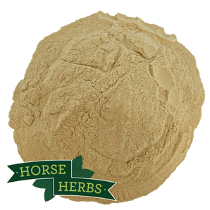 Herbal Supplements for Horses | Natural Equine Supplements – Horse Herbs