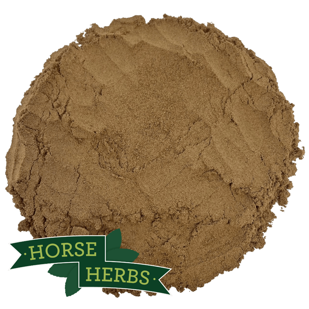 Horse Supplements | Natural Equine Supplements | Horse Herbs