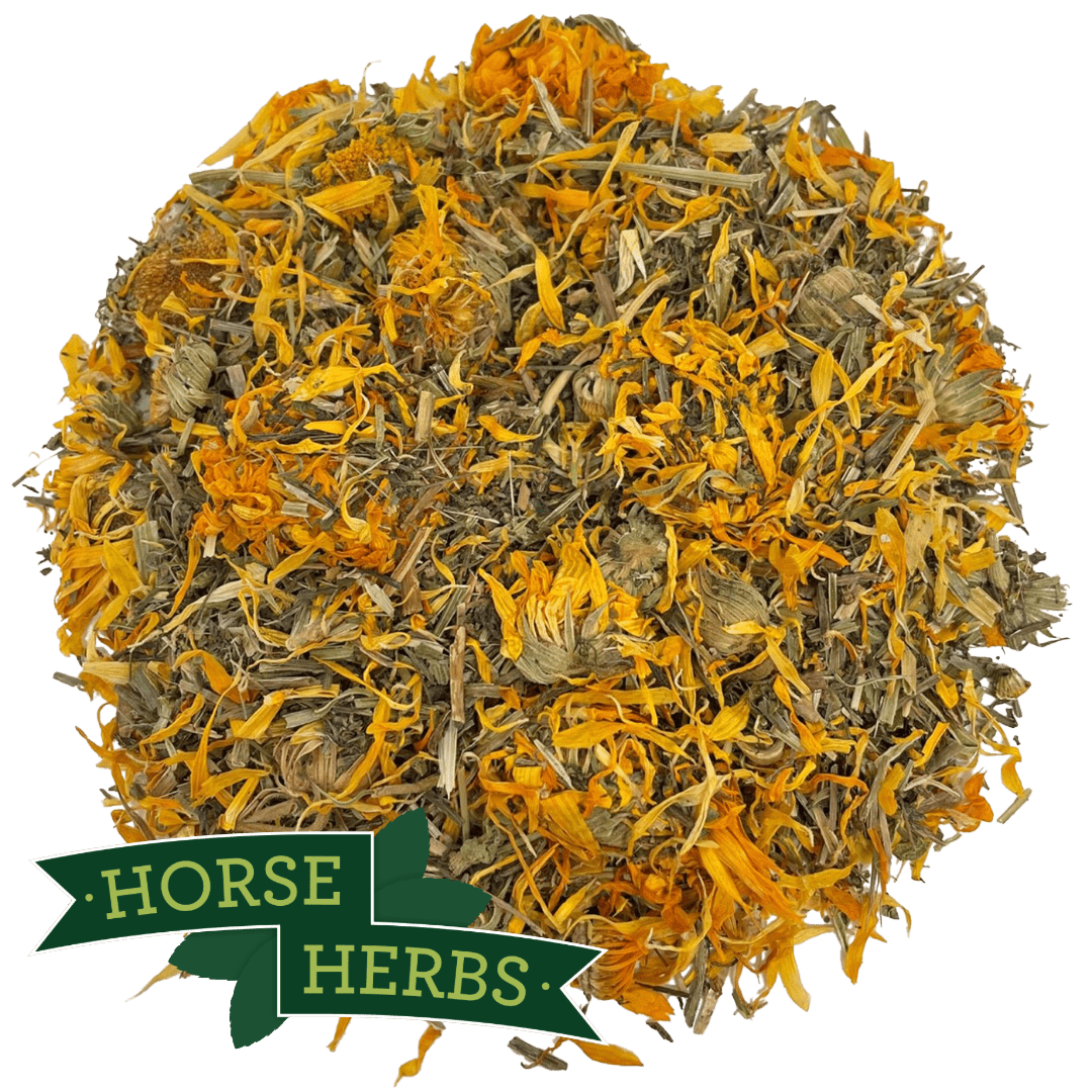 Equine Herbs & Supplements | Horse Herbs UK