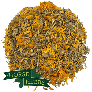 Herbal Supplements for Horses | Natural Equine Supplements – Horse Herbs