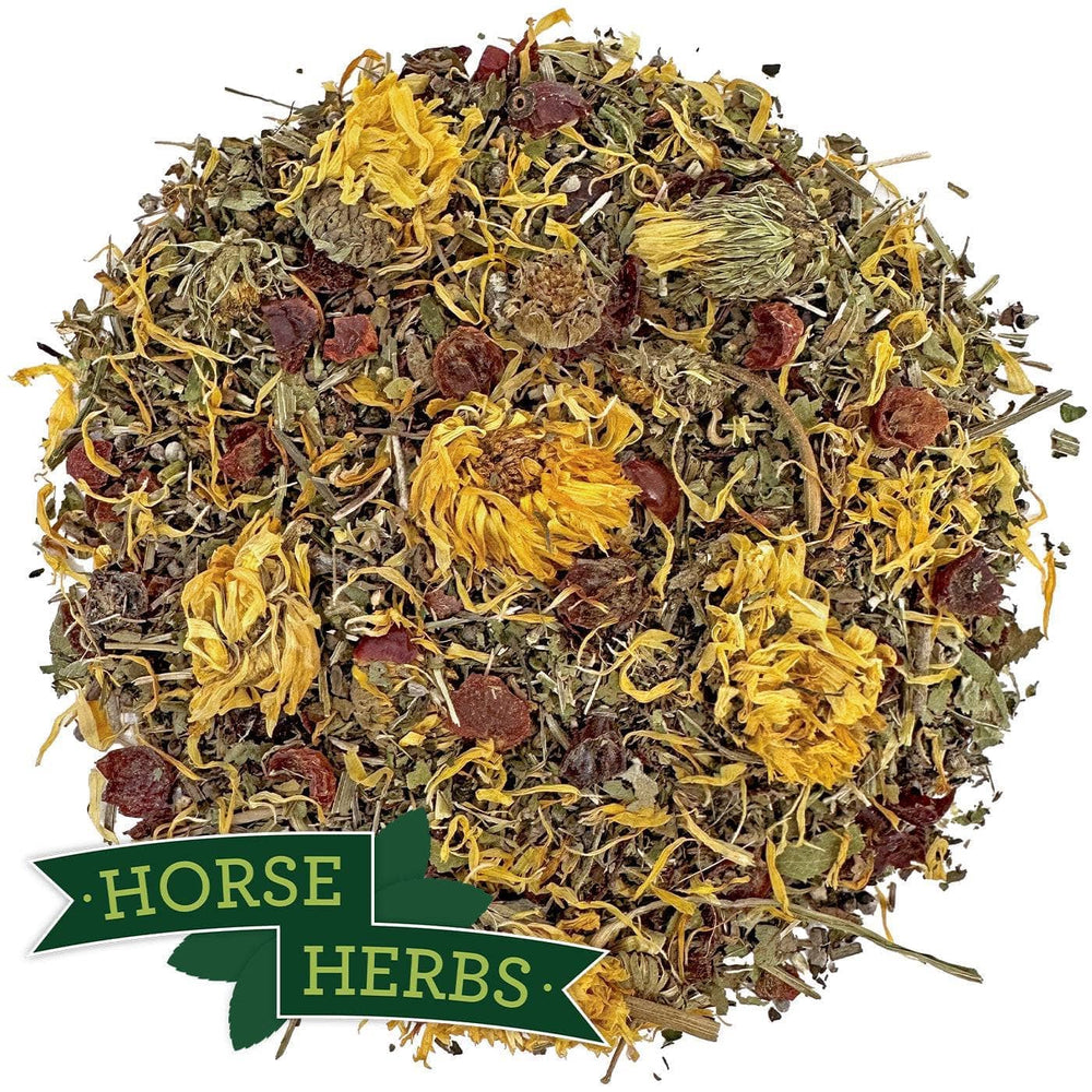 Hand-Mixed Herbal Horse Supplements | Equine Herbs | Horse Herbs