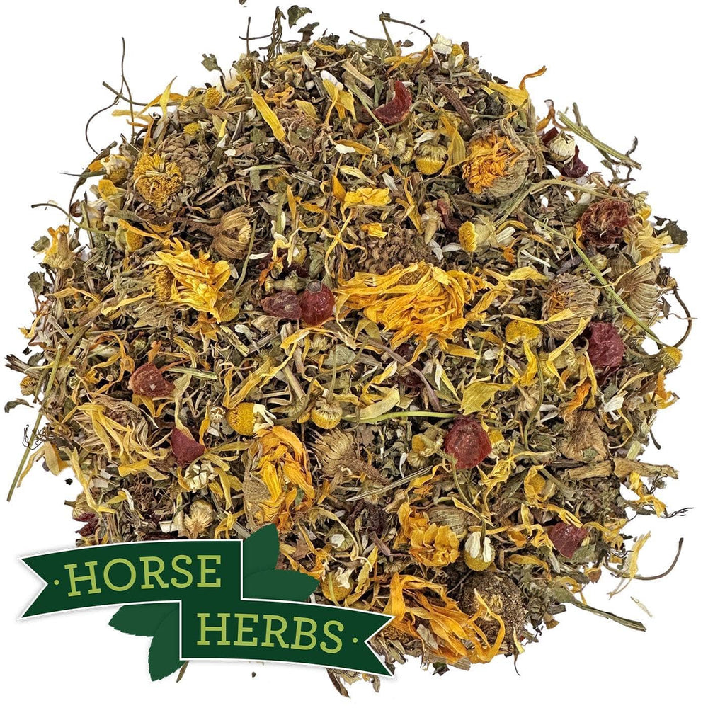 Hand-Mixed Herbal Horse Supplements | Equine Herbs | Horse Herbs