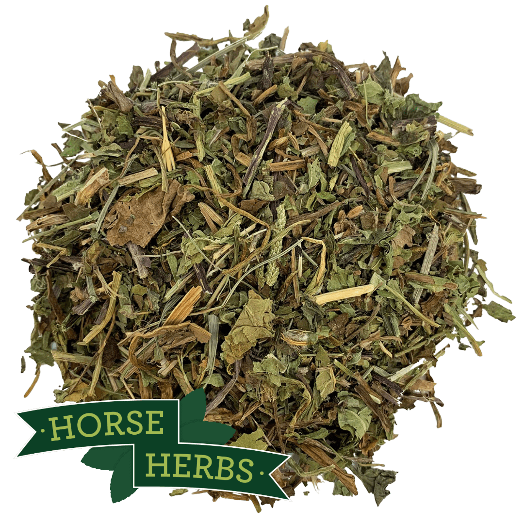 Equine Herbs & Supplements | Horse Herbs UK