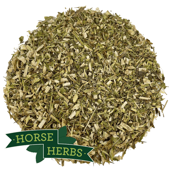 Herbal Supplements for Horses | Natural Equine Supplements – Horse Herbs
