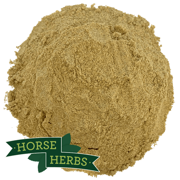 Herbal Supplements for Horses | Natural Equine Supplements – Horse Herbs