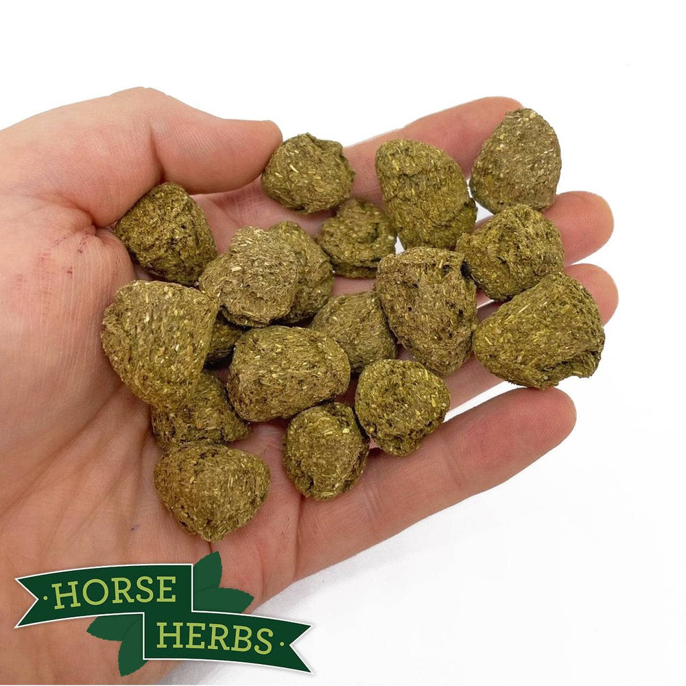 Equine Herbs & Supplements | Horse Herbs UK