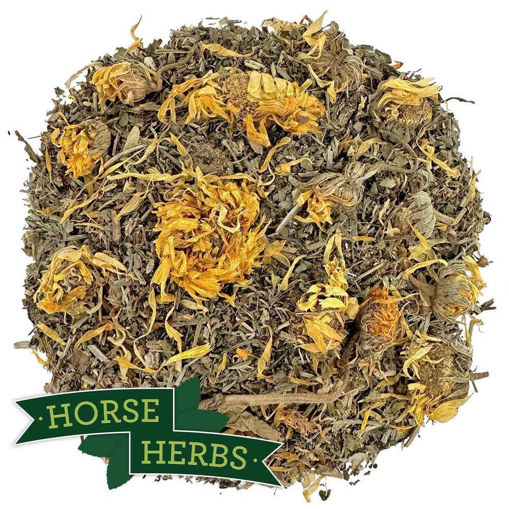 Hand-Mixed Herbal Horse Supplements | Equine Herbs | Horse Herbs