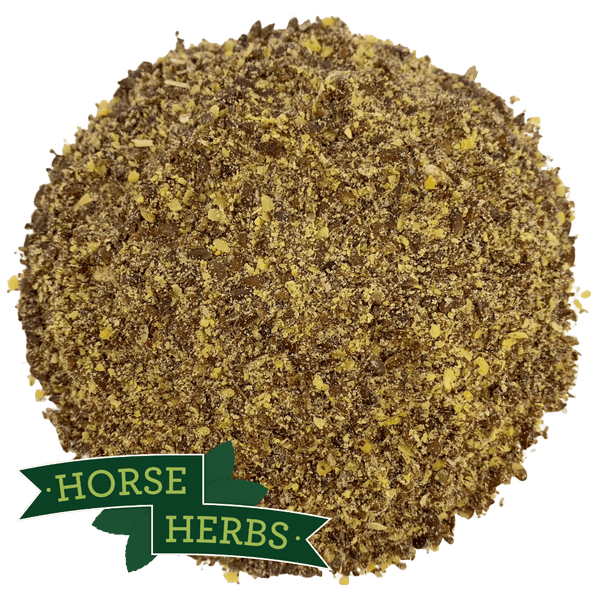 Let’s Talk Micronised Linseed For Horses – Horse Herbs