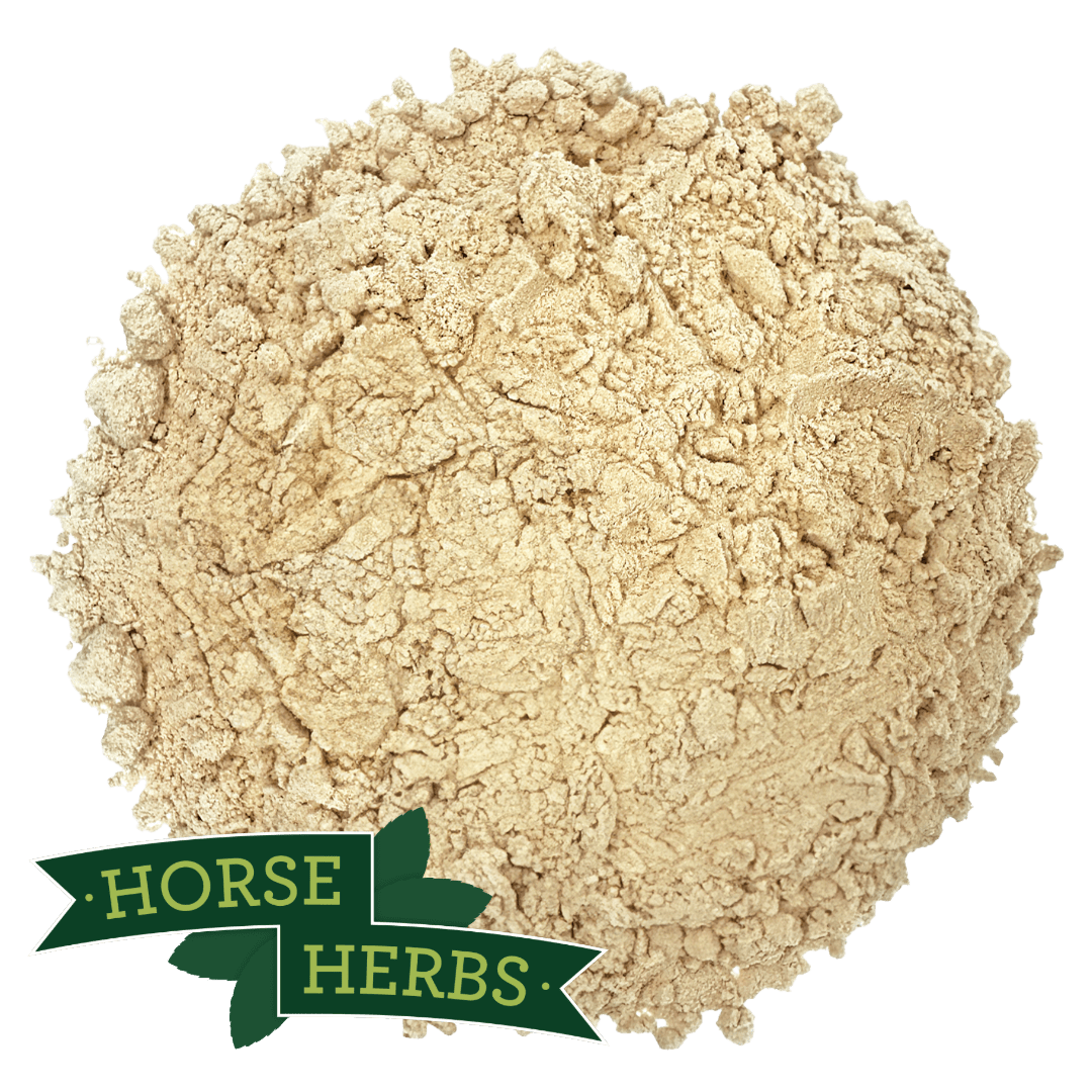Pea Protein for Horses | Equine Muscle Growth Supplement – Horse Herbs