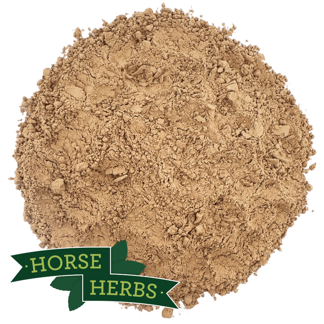 Equine Herbs & Supplements | Horse Herbs UK