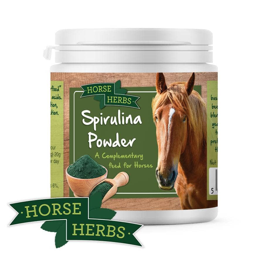 Spirulina Superfood Powder Supplement for Horses | Horse Herbs