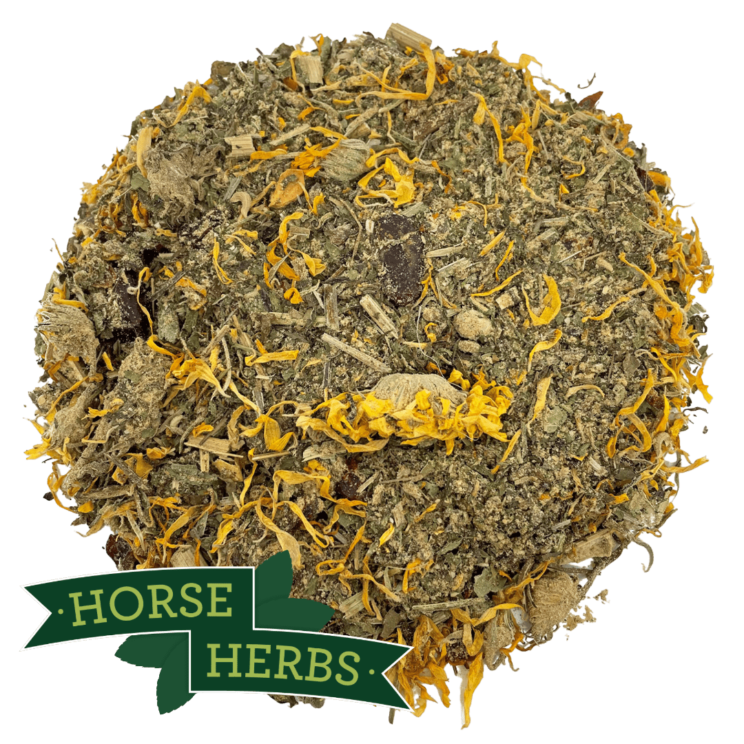 Equine Herbs & Supplements | Horse Herbs UK