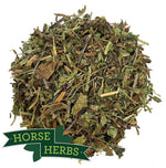 Natural Equine Herb Equine Supplements For Horses | Horse Herbs