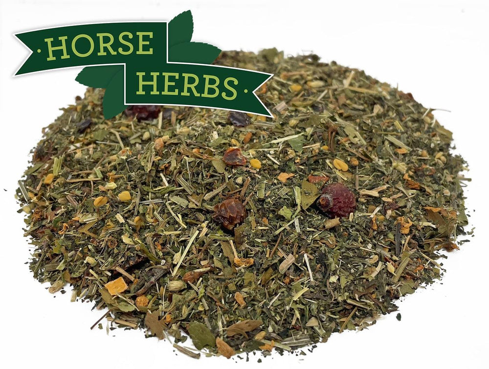 Laminitis Support Plus | Bespoke Herb Blend | Horse Herbs