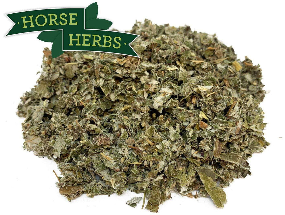 Horse Herbs Raspberry Leaf - Cut